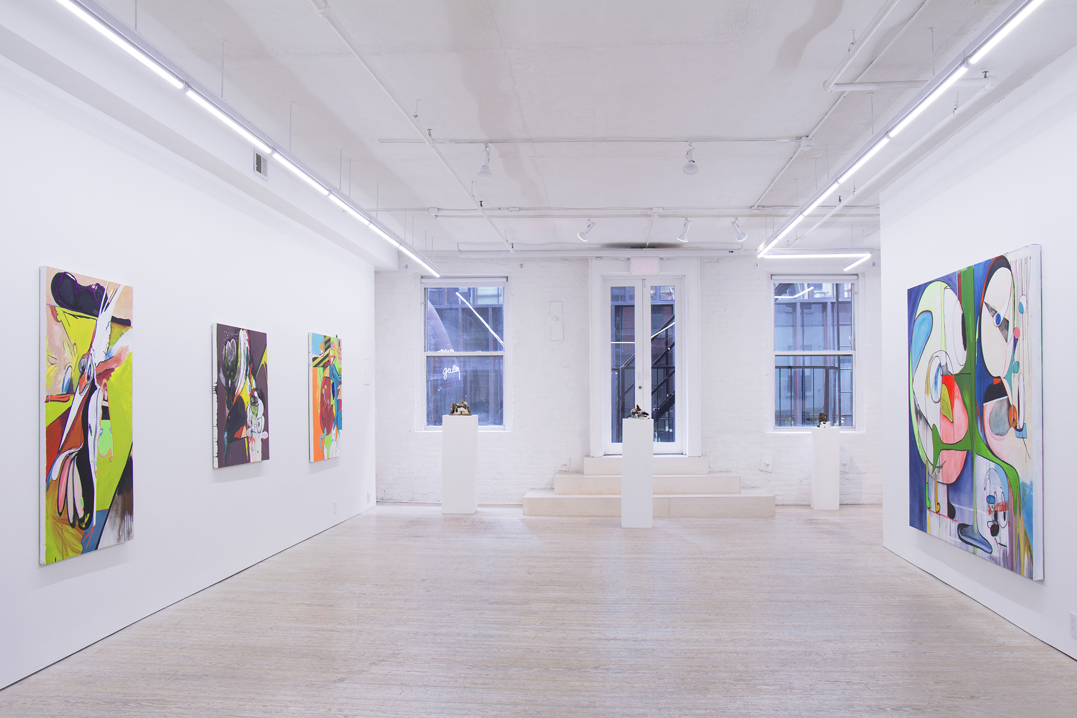 Microscope Gallery
