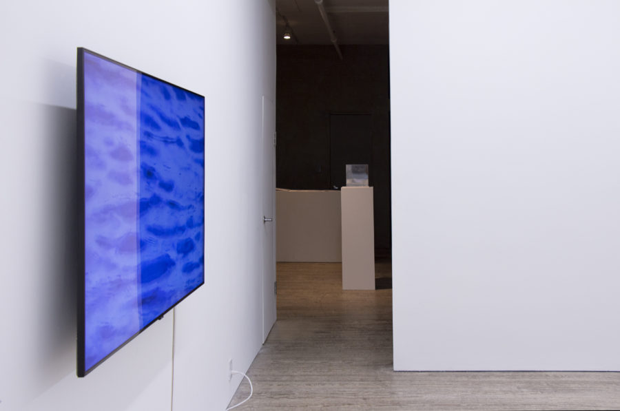 Kamari Carter: Installation views