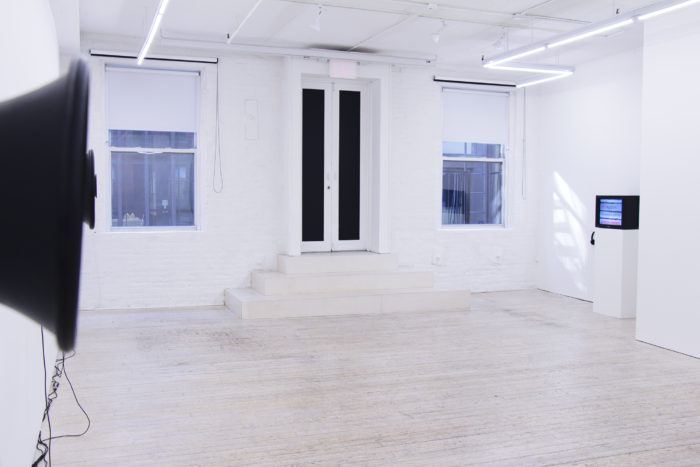 Kamari Carter: Installation views